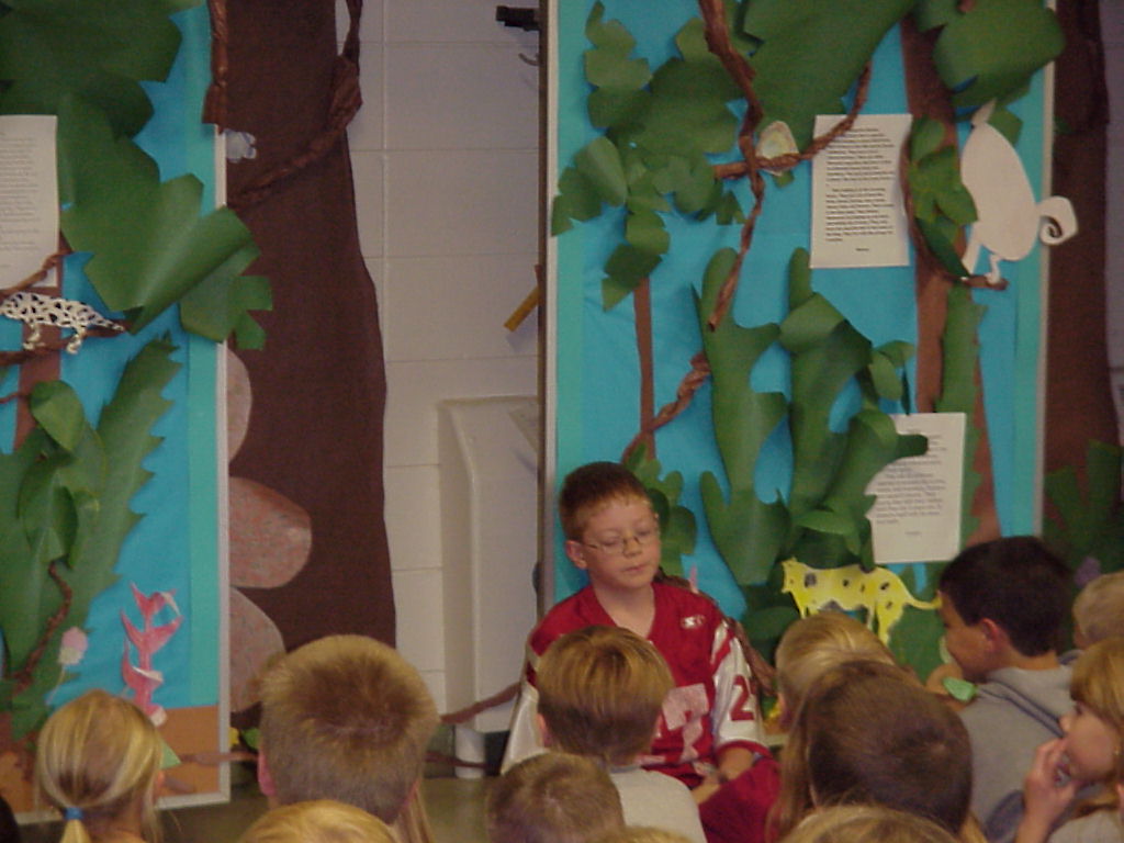 The Fourth Grade Rainforest