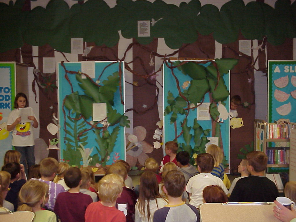 The Fourth Grade Rainforest