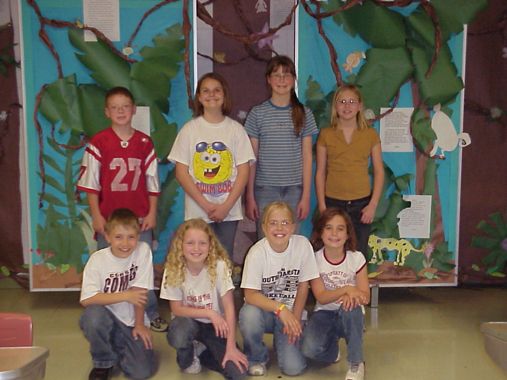 The Fourth Grade Rainforest